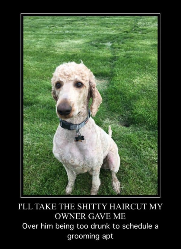 Recovery Elevator - Sober Recovery Memes created by Paul Churchill