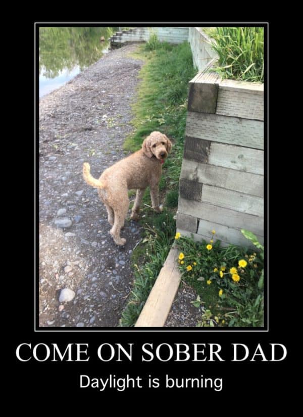 Recovery Elevator Sober Recovery Memes Created By Paul Churchill