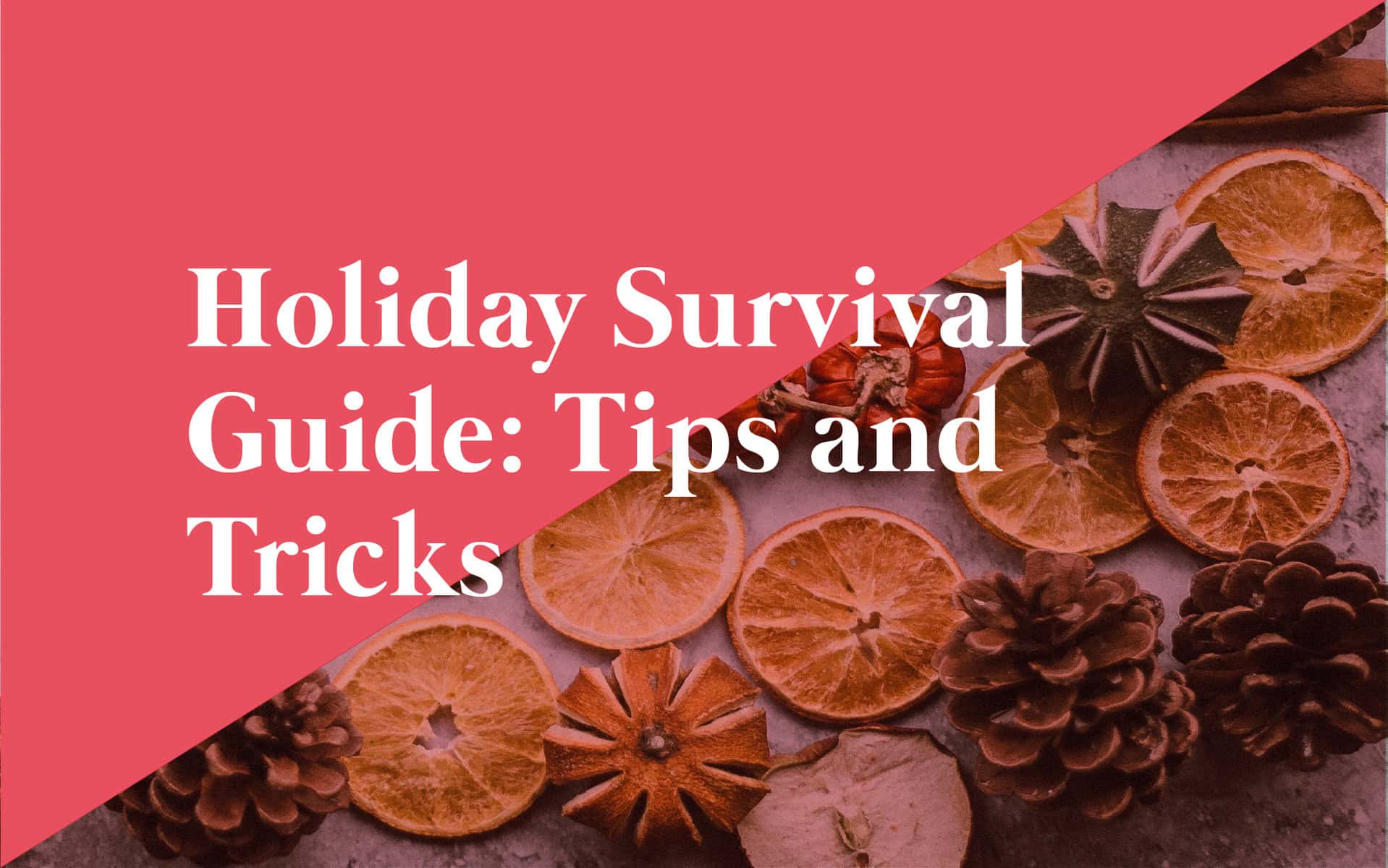 Holiday Survival Guide: Tips and Tricks - Recovery Elevator